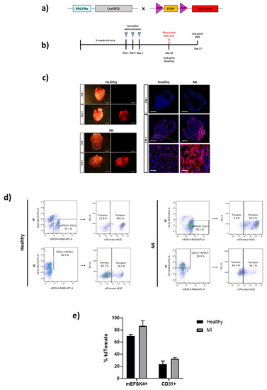 Comparative Evaluation of Inducible Cre Mouse Models for Fibroblast ...