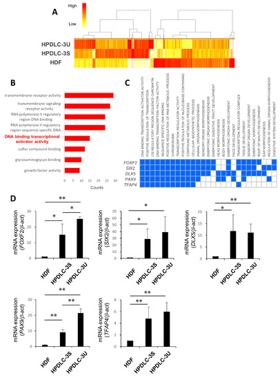 PAX9 Is Involved in Periodontal Ligament Stem Cell-like Differentiation ...