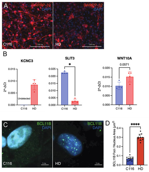 Biomedicines | Free Full-Text | Postnatal Conditional Deletion of ...