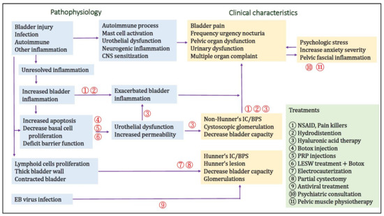 Current Understanding of the Pathophysiology and Novel Treatments of ...