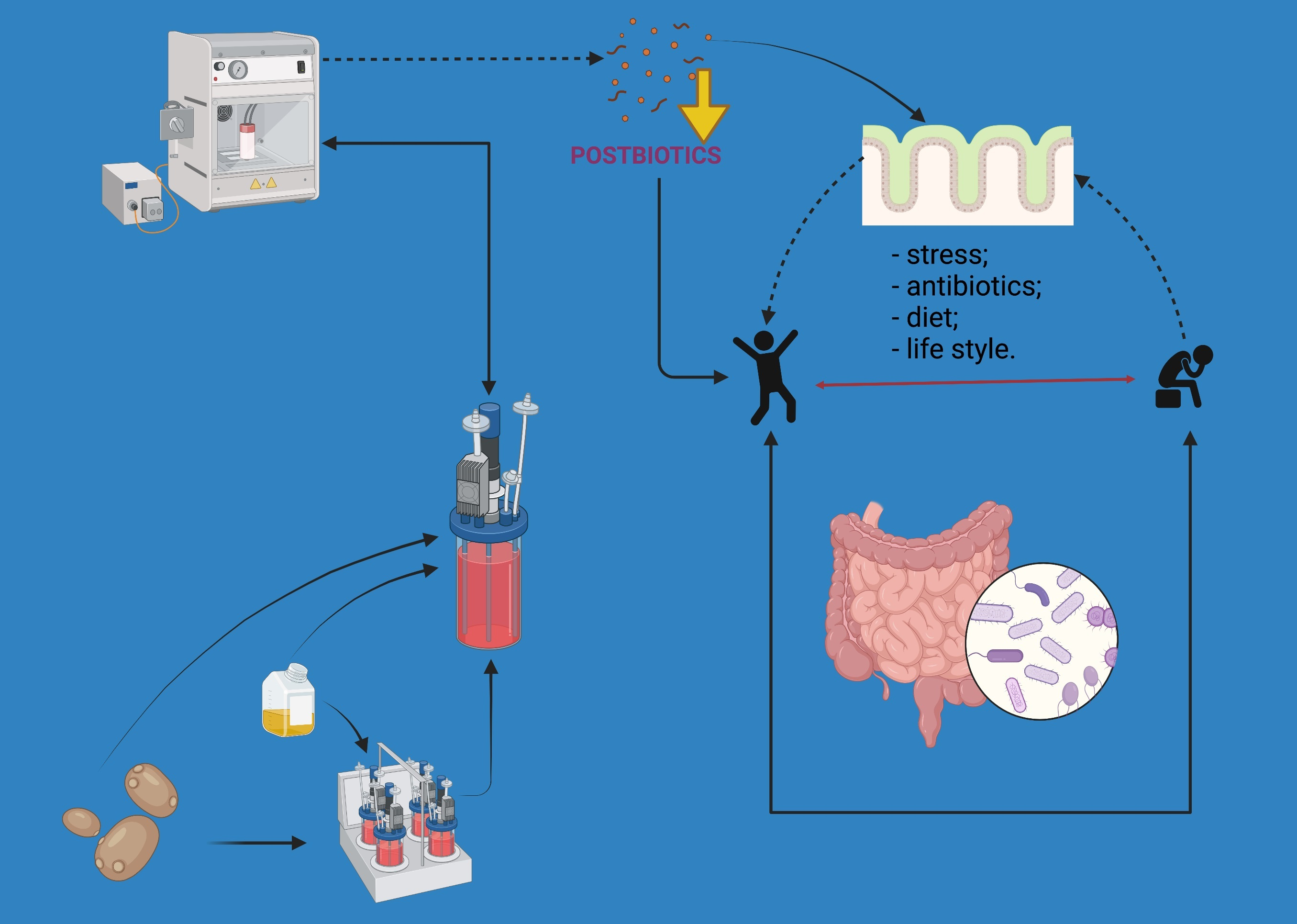 Biomedicines | Free Full-Text | Mineral-Enriched Postbiotics: A New ...