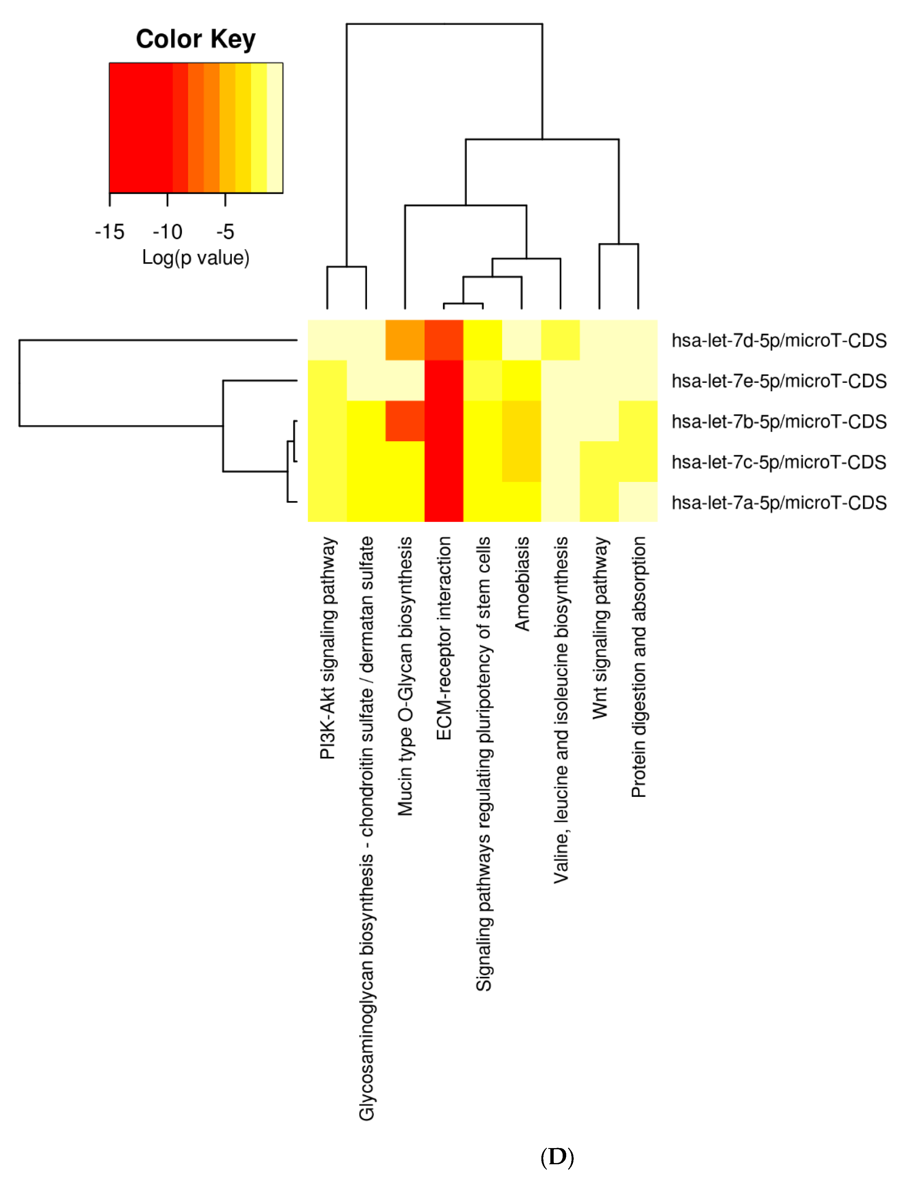 MicroRNA Associated with the Invasive Phenotype in Clear Cell Renal ...