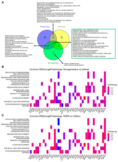 Progeria Life Expectancy Graph