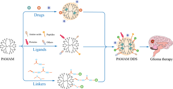 Biomedicines | Free Full-Text | A Review on Increasing the Targeting of ...