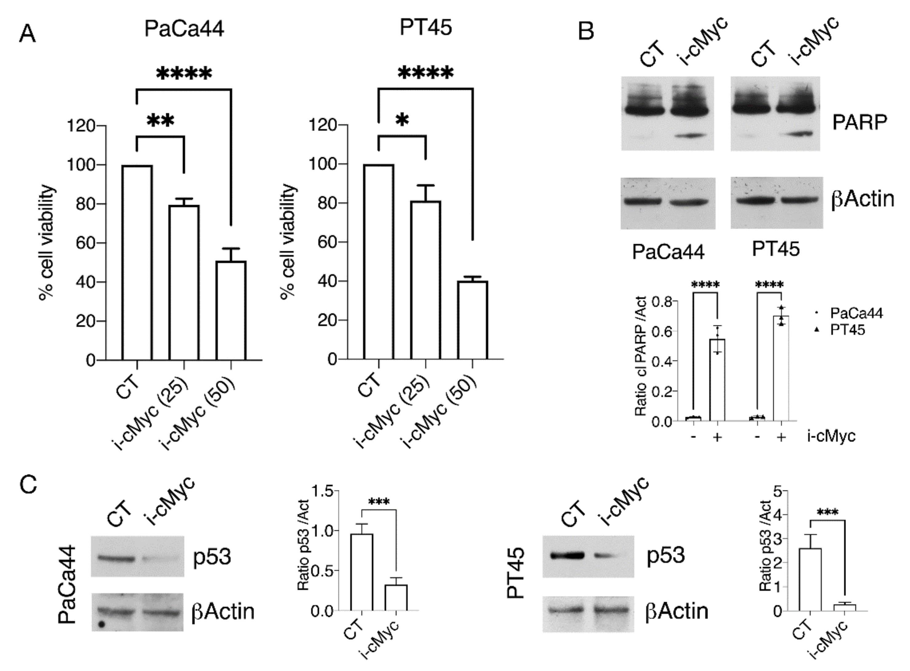 Biomedicines | Free Full-Text | c-Myc Sustains Pancreatic Cancer Cell ... Biomedicines | Free Full-Text | c-Myc Sustains Pancreatic Cancer Cell ...
