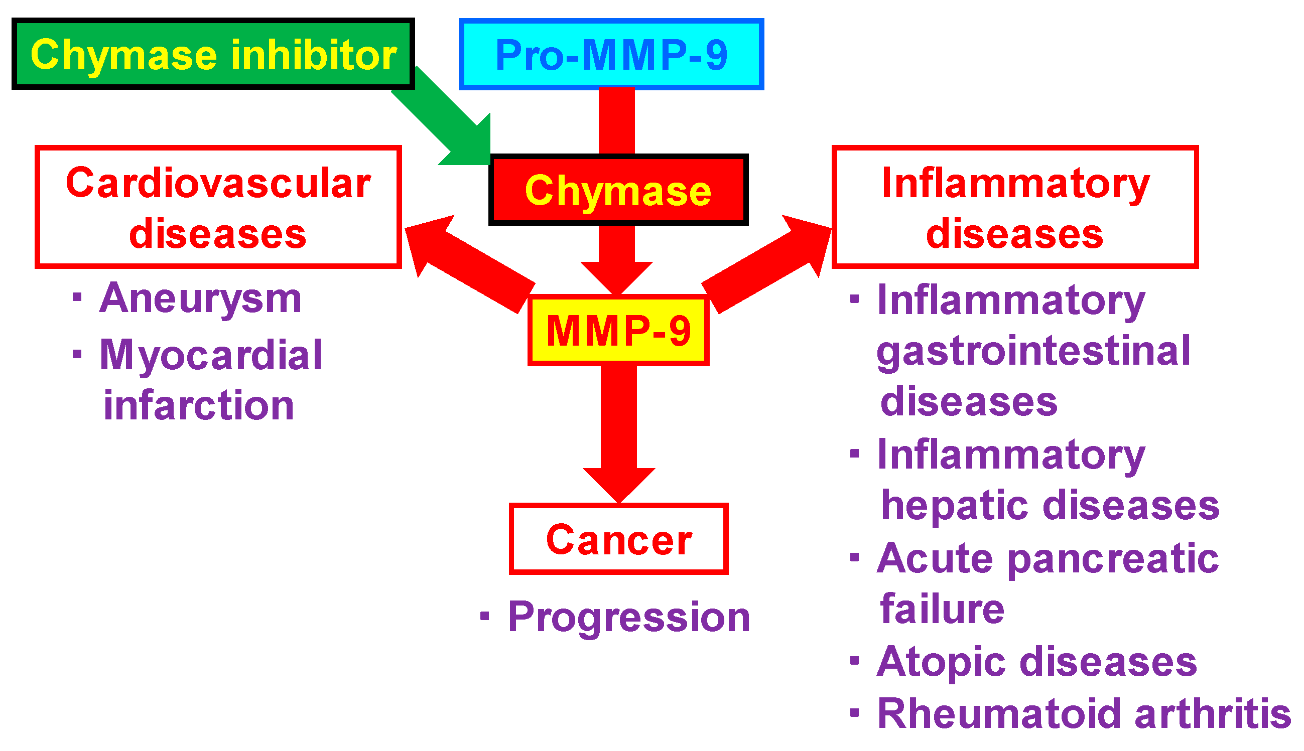 Pathophysiological Role of Chymase-Activated Matrix Metalloproteinase-9