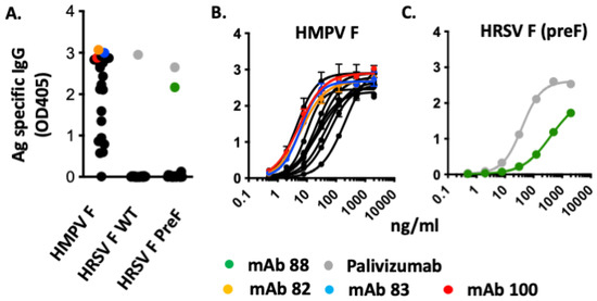 A Candidate Therapeutic Monoclonal Antibody Inhibits Both HRSV and HMPV ...