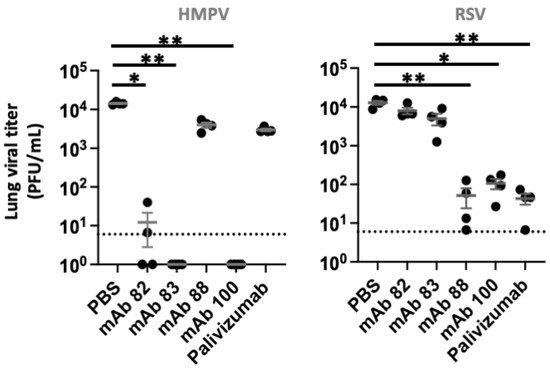 A Candidate Therapeutic Monoclonal Antibody Inhibits Both HRSV and HMPV ...