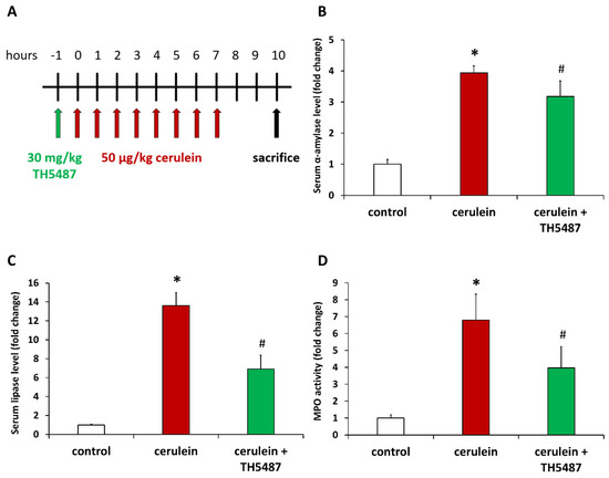 OGG1 Inhibition Reduces Acinar Cell Injury in a Mouse Model of Acute ...