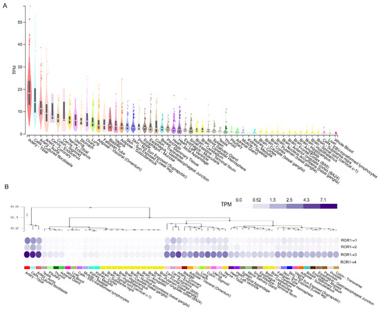 Pan-Tissue and -Cancer Analysis of ROR1 and ROR2 Transcript Variants ...