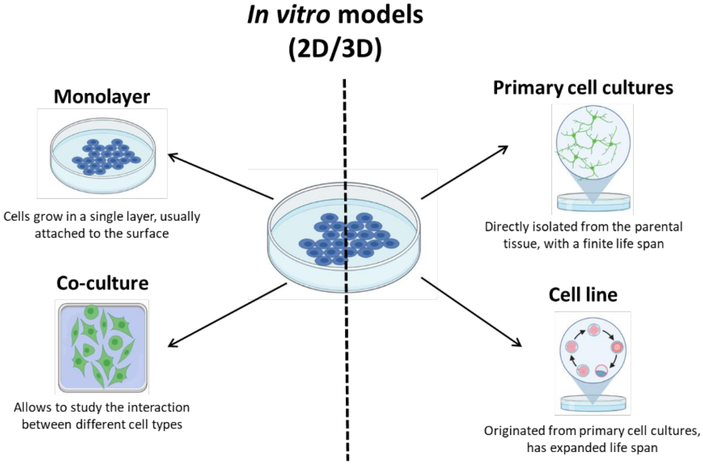 Ischemic Stroke, Lessons from the Past towards Effective Preclinical Models
