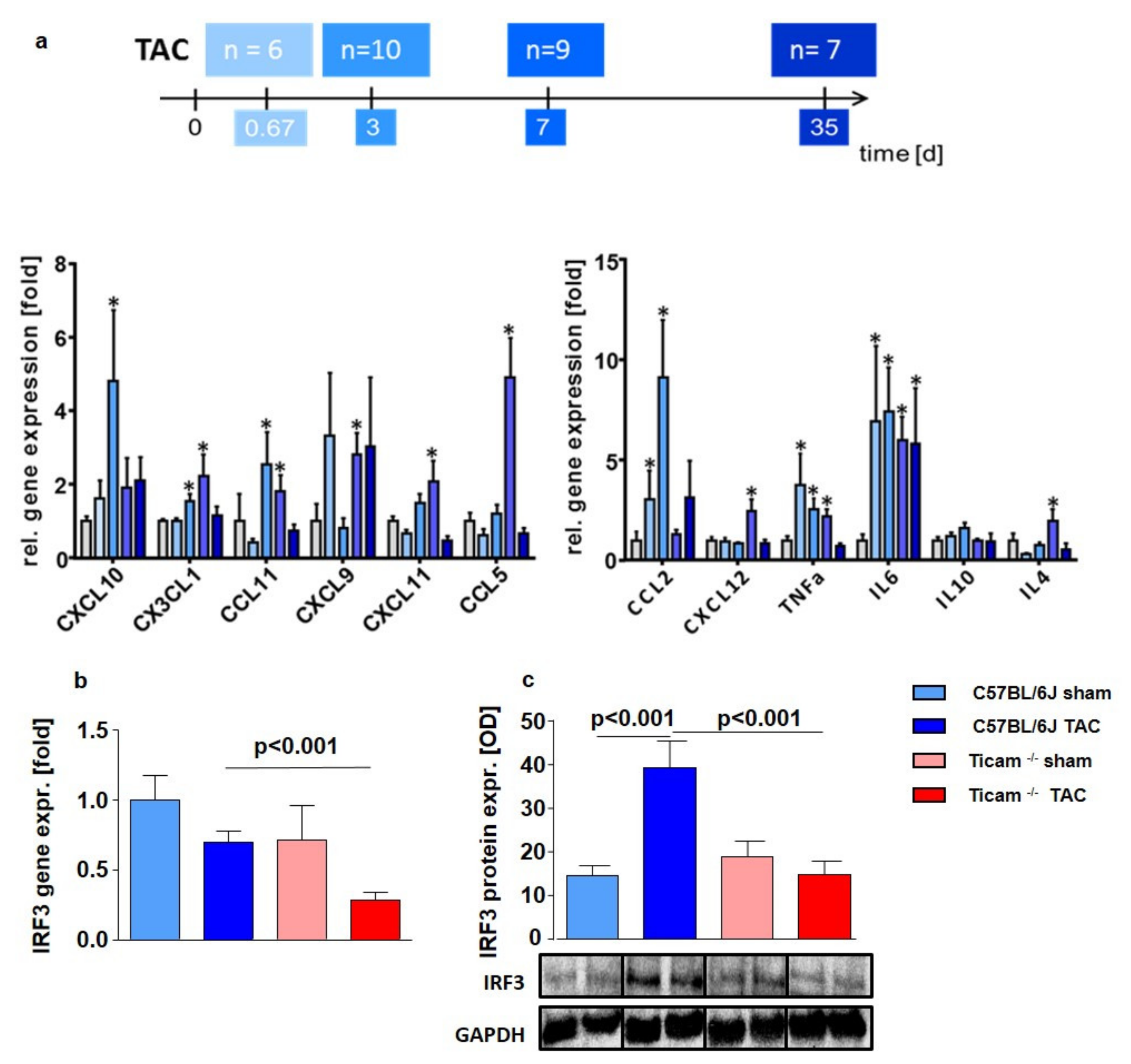 Inhibition of TRIF-Dependent Inflammation Decelerates Afterload-Induced ...