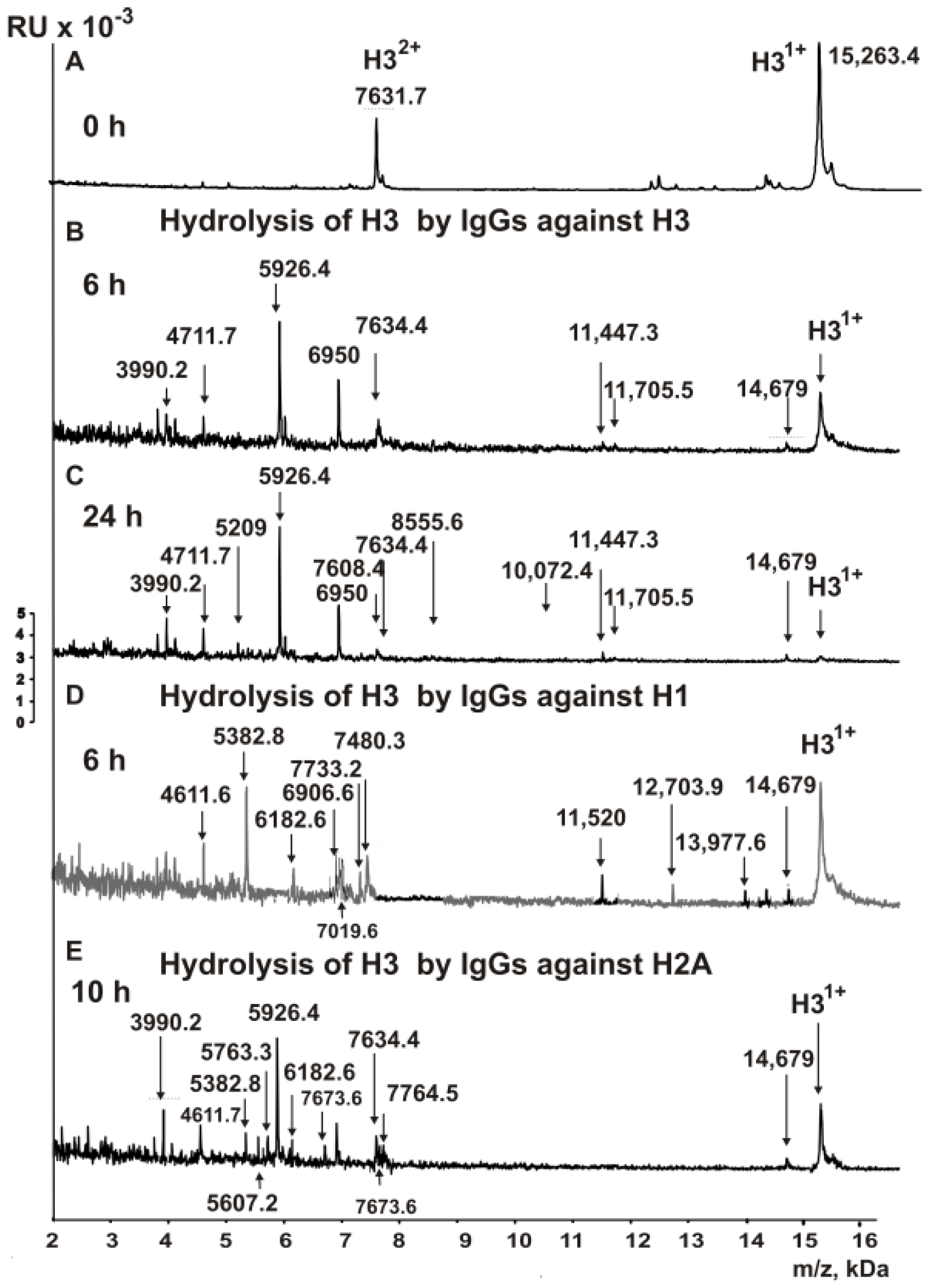 Biomedicines | Free Full-Text | Multiple Sclerosis: Enzymatic Cross Site-Specific Recognition ...