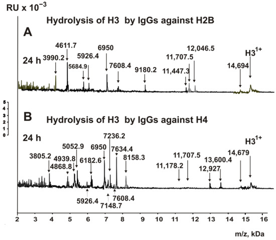 Biomedicines | Free Full-Text | Multiple Sclerosis: Enzymatic Cross ...