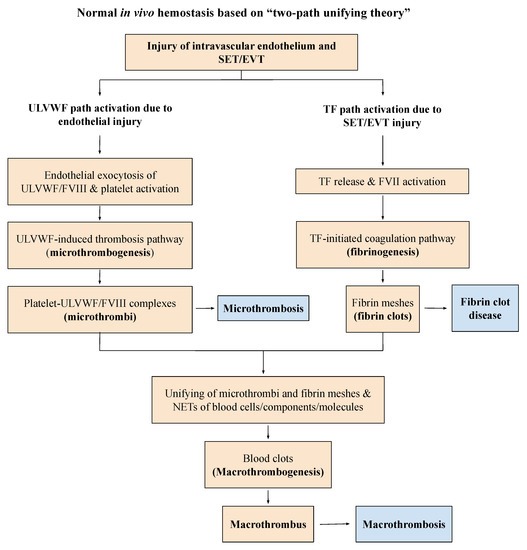 Novel Classification of Thrombotic Disorders Based on Molecular ...