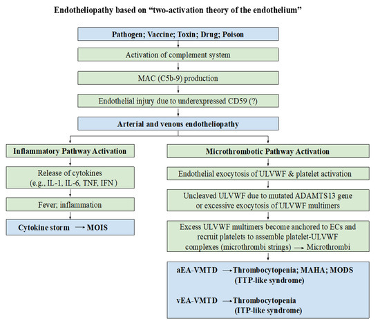 Novel Classification of Thrombotic Disorders Based on Molecular ...