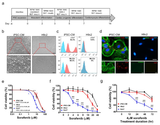 Merits of hiPSC-Derived Cardiomyocytes for In Vitro Research and ...