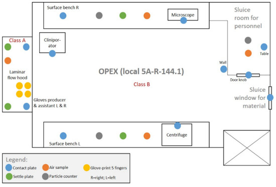 GMP-Grade Manufacturing and Quality Control of a Non-Virally Engineered ...