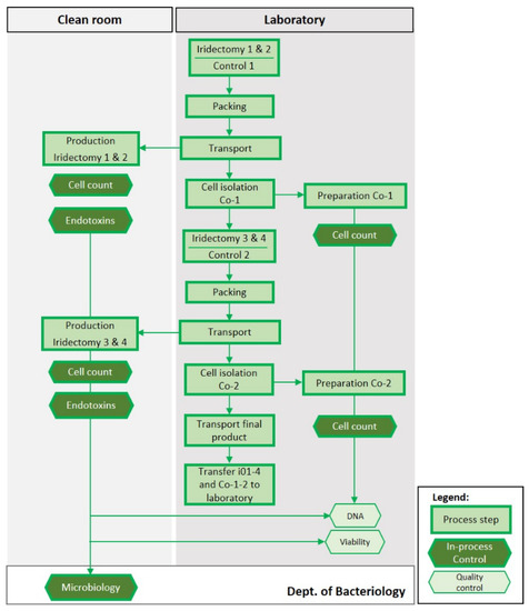 Biomedicines | Free Full-Text | GMP-Grade Manufacturing and Quality ...