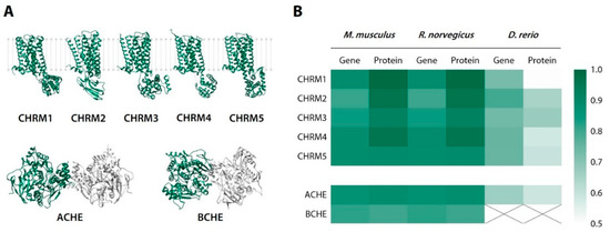 Biomedicines | Free Full-Text | Novel Chromone-Containing ...