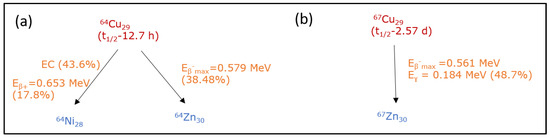 Theragnostic Radionuclide Pairs for Prostate Cancer Management: 64Cu ...