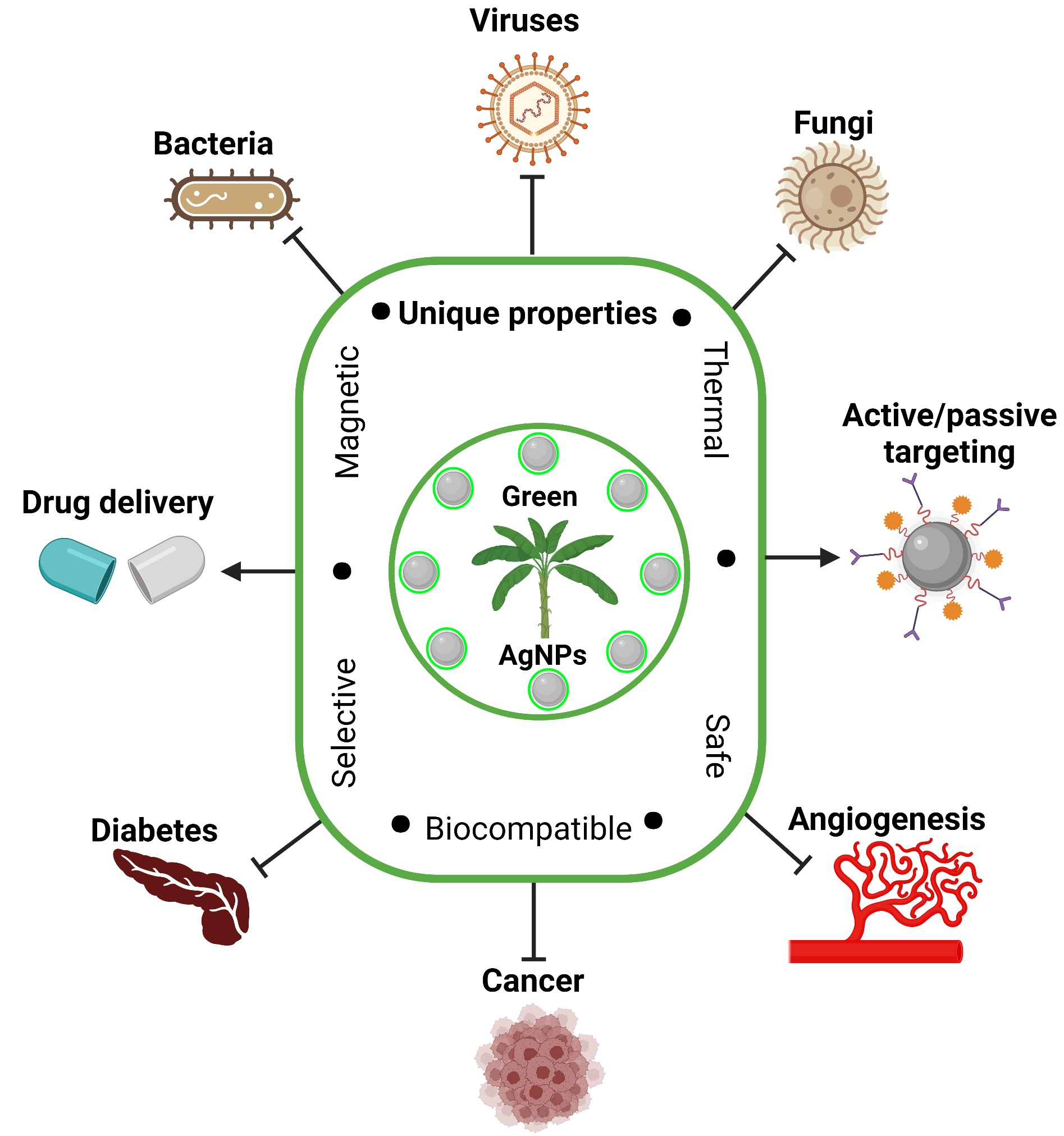 Biomedicines Free Full Text Biomedical Applications Of Plant