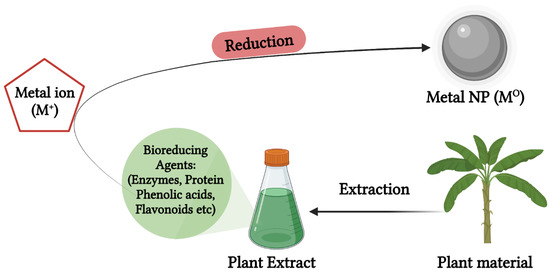 Biomedical Applications of Plant Extract-Synthesized Silver Nanoparticles