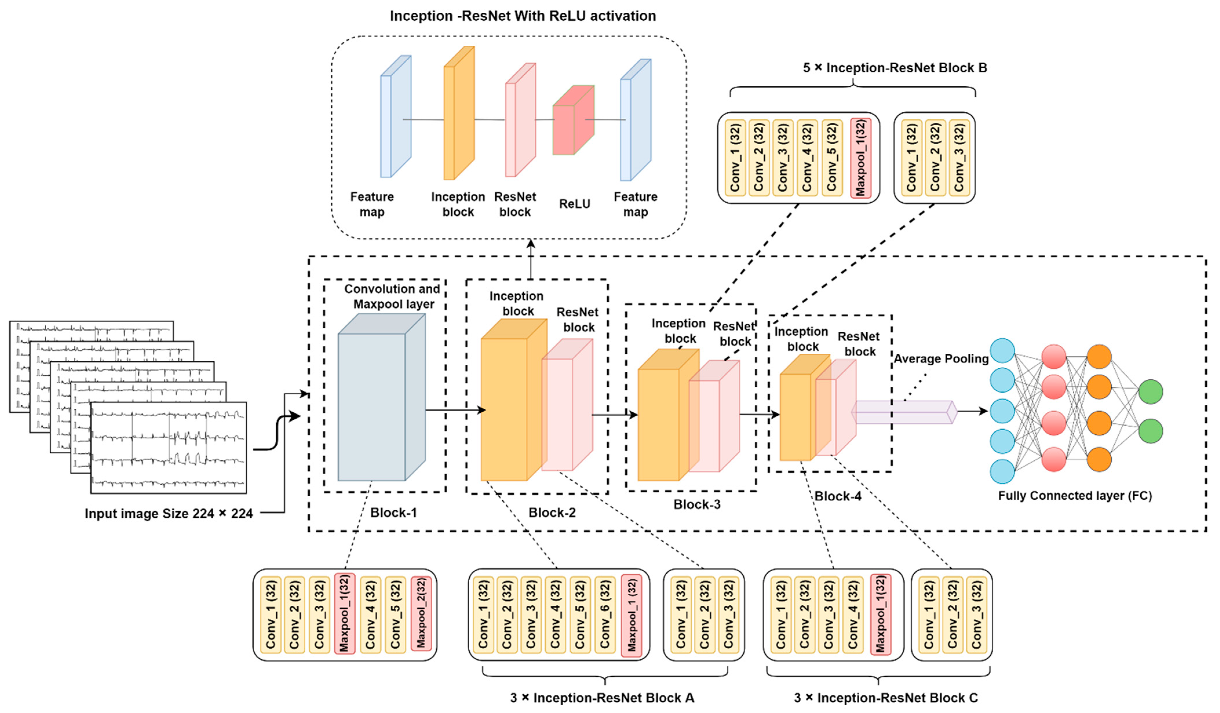 Biomedicines | Free Full-Text | A Robust Framework Combining Image Processing and Deep Learning ...