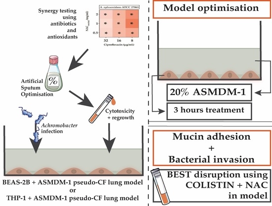 Biomedicines | Free Full-Text | The Efficacy of an N-Acetylcysteine ...