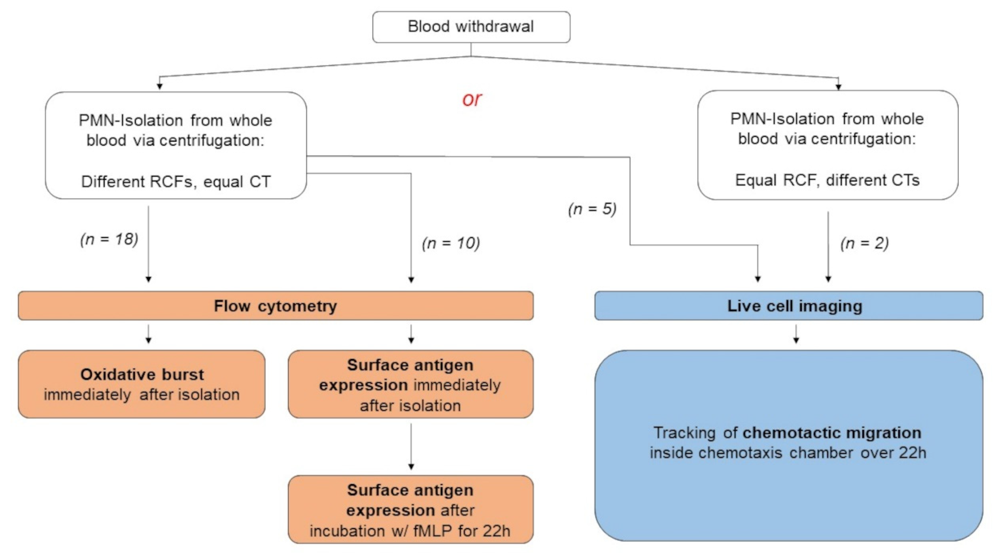 Paralytic Impact of Centrifugation on Human Neutrophils