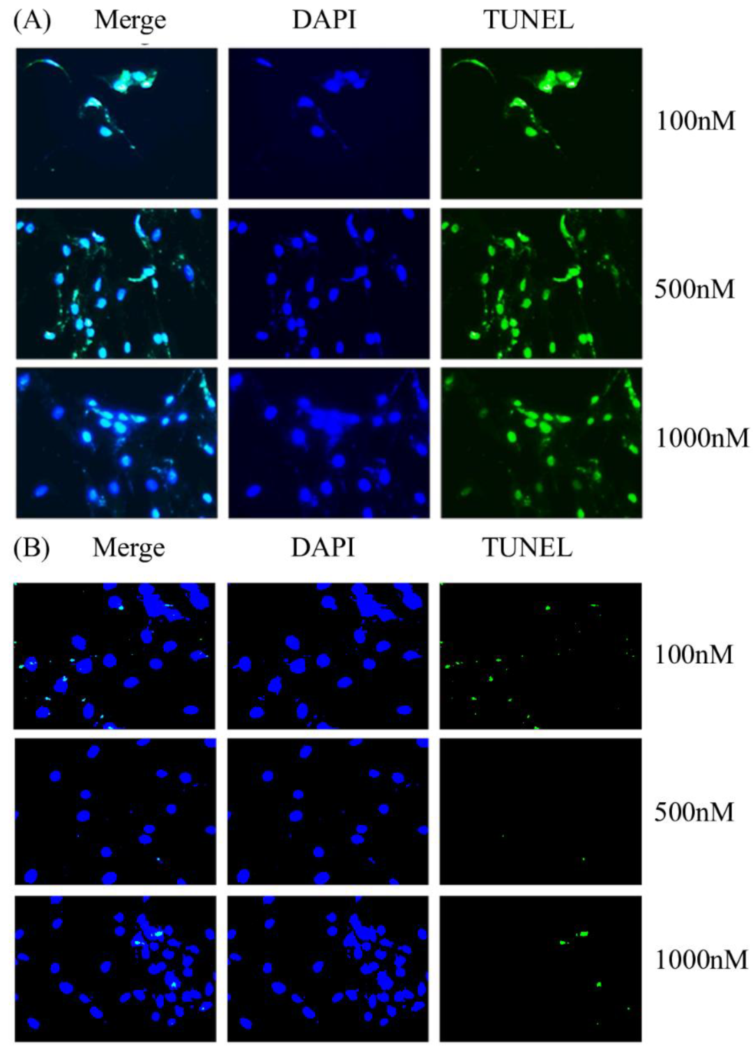 The Antagonism of Neuropeptide Y Type I Receptor (Y1R) Reserves the ...