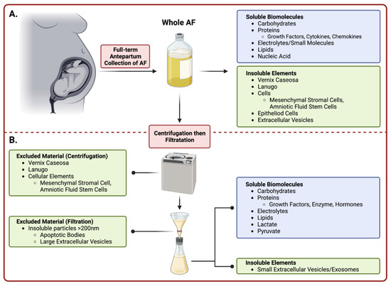 Cell-Free Amniotic Fluid and Regenerative Medicine: Current ...