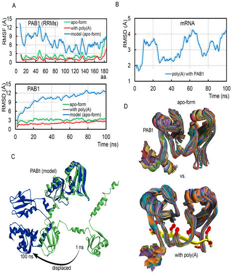 The Binding Specificity of PAB1 with Poly(A) mRNA, Regulated by Its ...