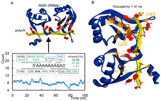 The Binding Specificity of PAB1 with Poly(A) mRNA, Regulated by Its ...