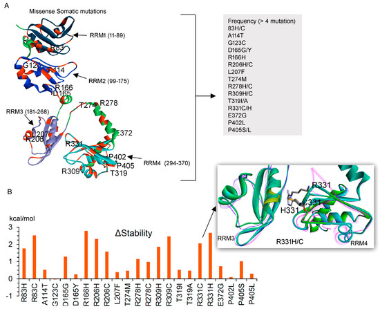 The Binding Specificity of PAB1 with Poly(A) mRNA, Regulated by Its ...