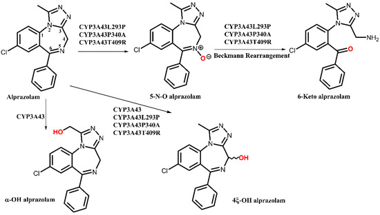 Changes in Alprazolam Metabolism by CYP3A43 Mutants