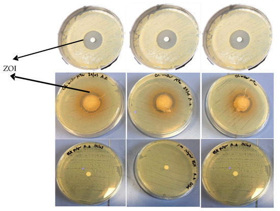 Novel Mucoadhesive Wafers for Treating Local Vaginal Infections