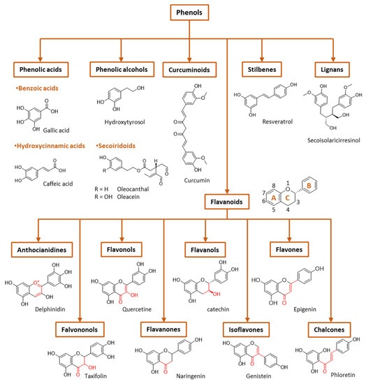 Biochemistry of Antioxidants: Mechanisms and Pharmaceutical Applications