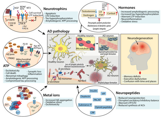 Alternative Pharmacological Strategies for the Treatment of Alzheimer’s ...