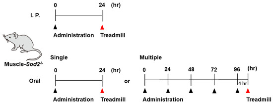Natural Compounds That Enhance Motor Function in a Mouse Model of ...