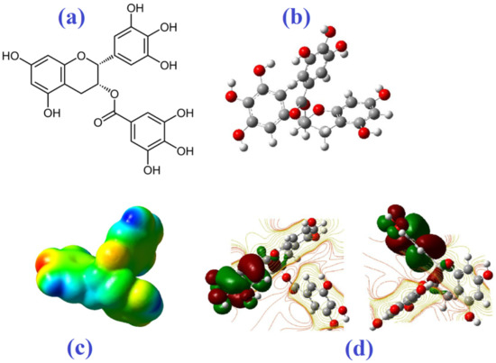 Interaction of Epigallocatechin Gallate and Quercetin with Interaction of Epigallocatechin Gallate and Quercetin with