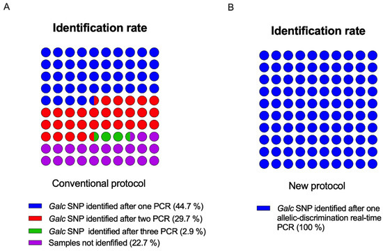 Reliable and Fast Genotyping Protocol for Galactosylceramidase (Galc ...
