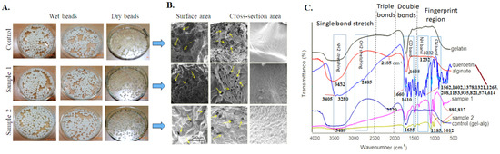 A Bioengineered Quercetin-Loaded 3D Bio-Polymeric Graft for Tissue ...