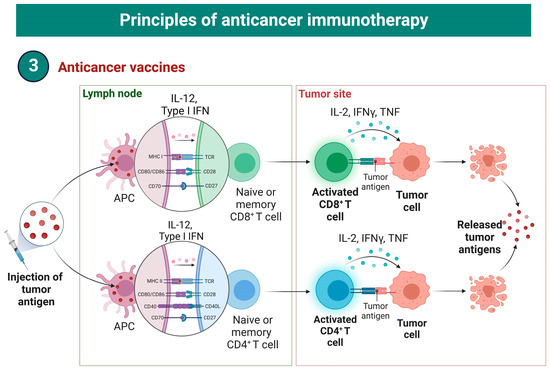 Where Do We Stand with Immunotherapy for Advanced Pancreatic Ductal ...