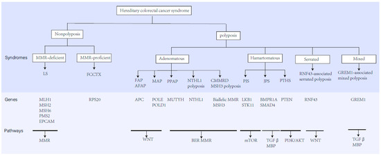 Hereditary Colorectal Cancer Syndromes: Molecular Genetics and ...