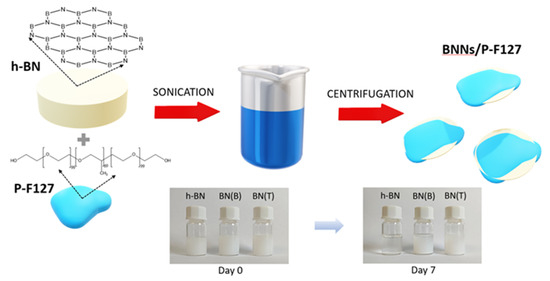 Sustainable Synthesis of Highly Biocompatible 2D Boron Nitride Nanosheets