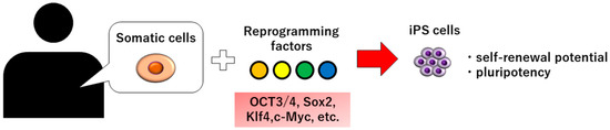 Current Application of iPS Cells in the Dental Tissue Regeneration