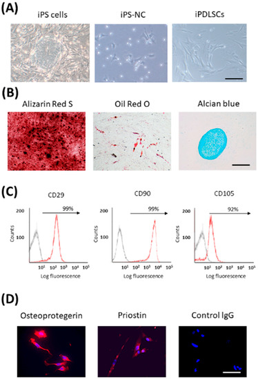Current Application of iPS Cells in the Dental Tissue Regeneration