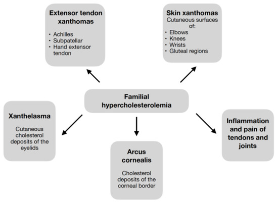 Management of Familial Hypercholesterolemia with Special Emphasis on ...