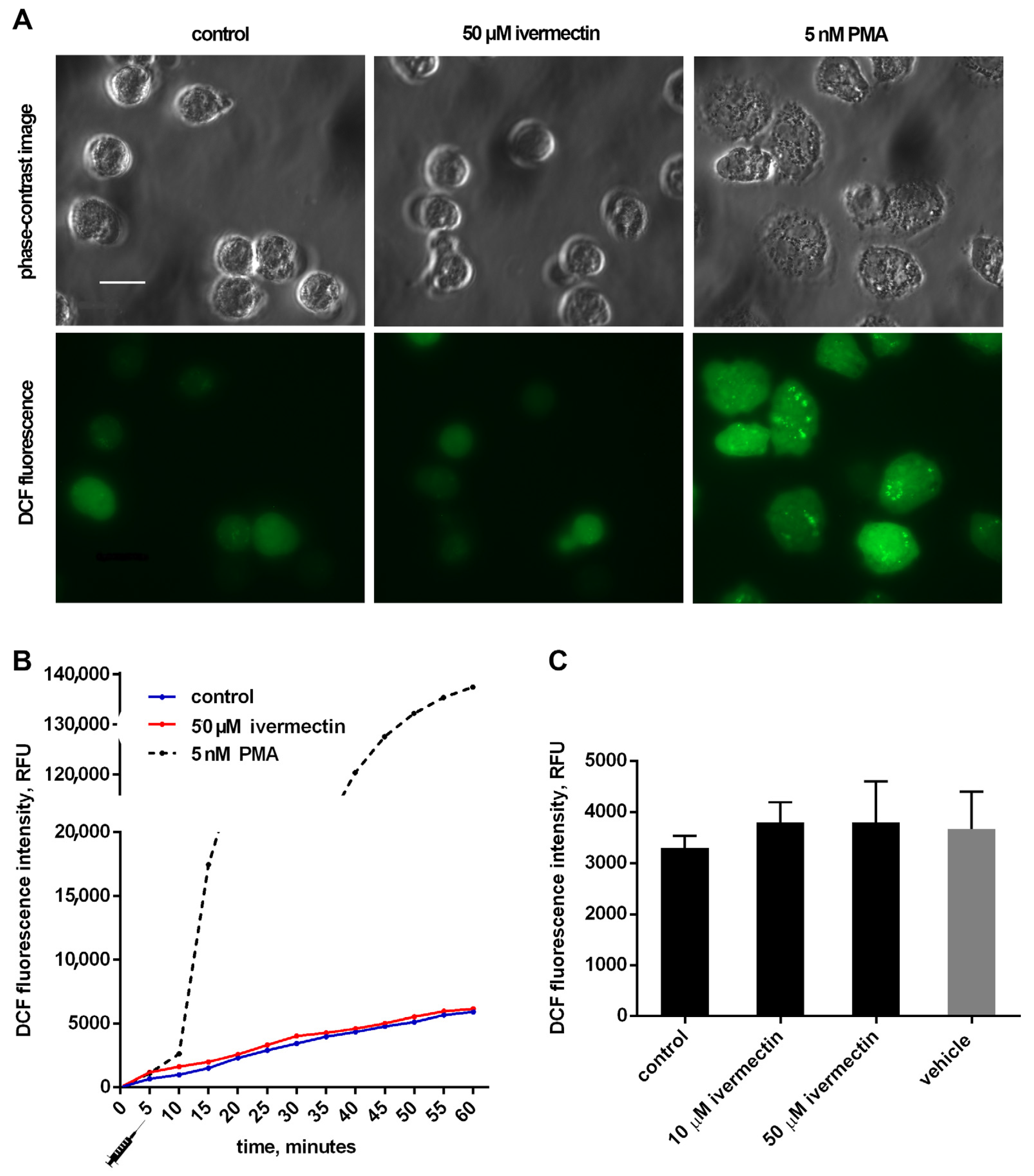 Ivermectin Affects Neutrophil Induced Inflammation Through Inhibition Of Hydroxylysine But